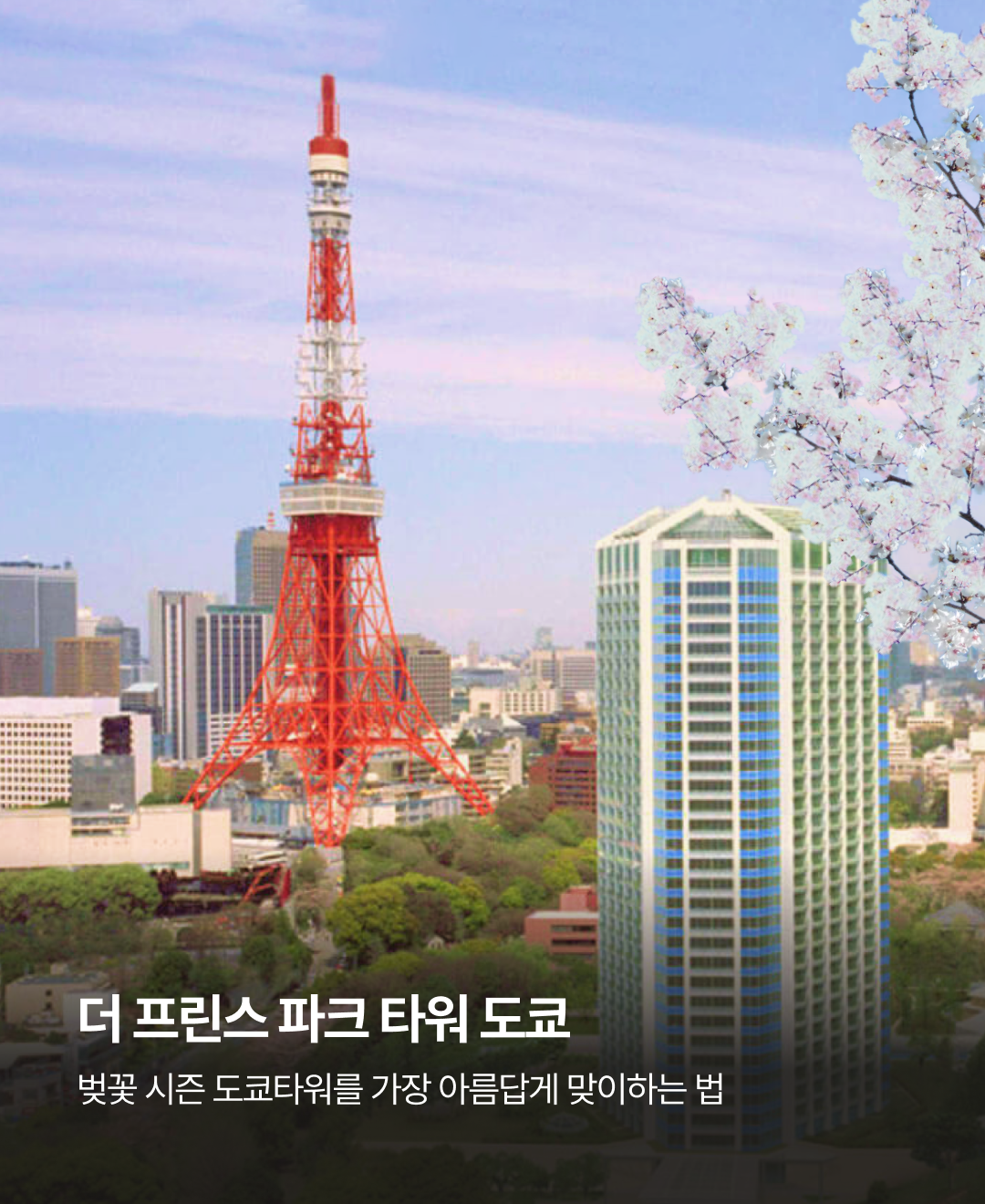 일본 도쿄타워 뷰 호텔 추천 더 프린스 파크 타워