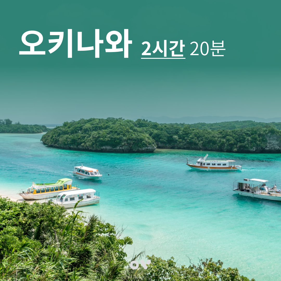 아이와 단 4시간 비행 어디일까