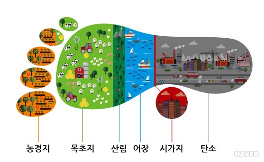 환경의 3대 발자국 찍기 Ii