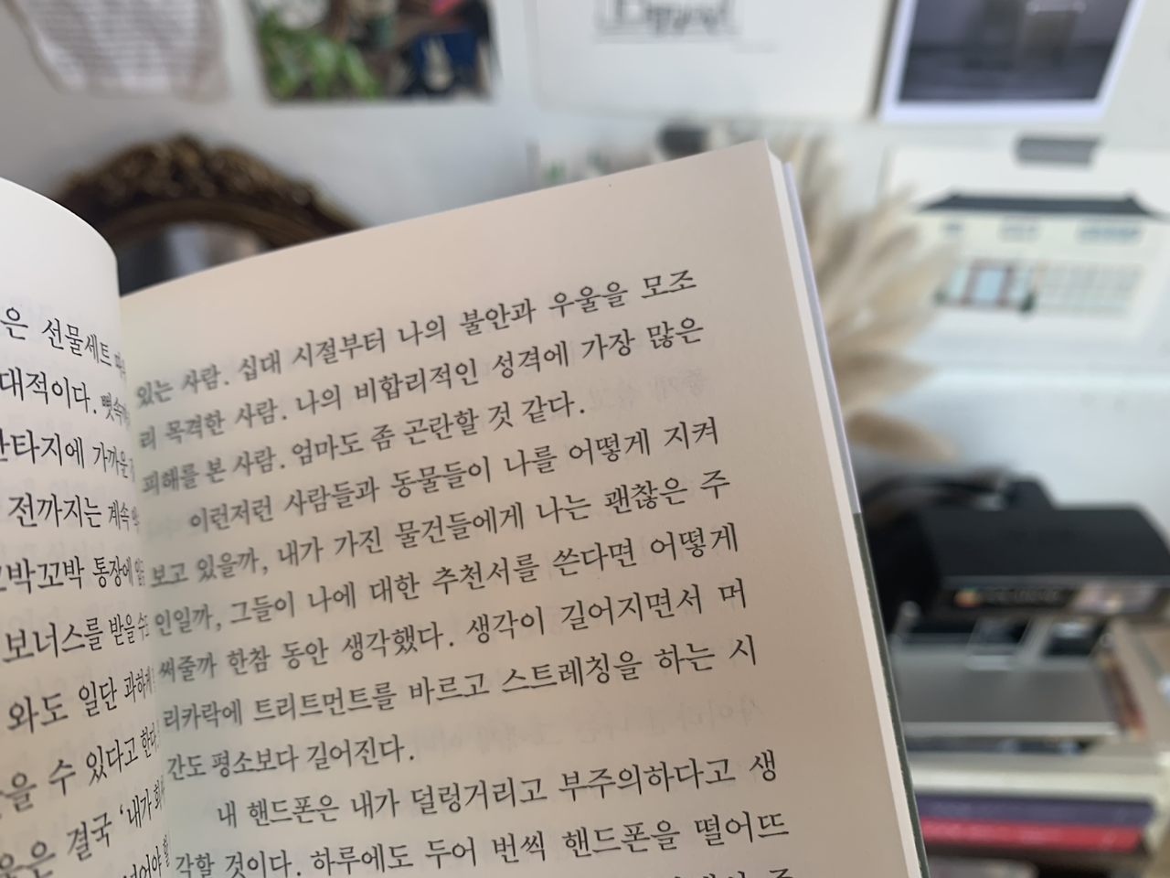 반려 식물이 내게 쓴 편지