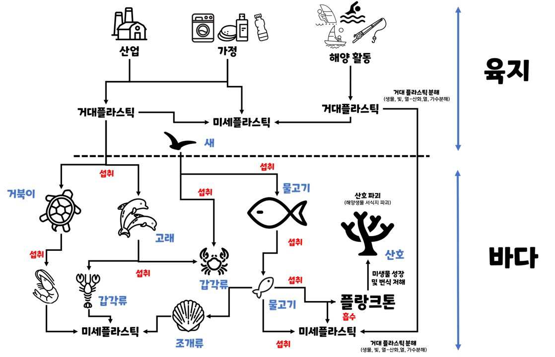 먹이 사슬을 타고 흐르는 미세 플라스틱 23