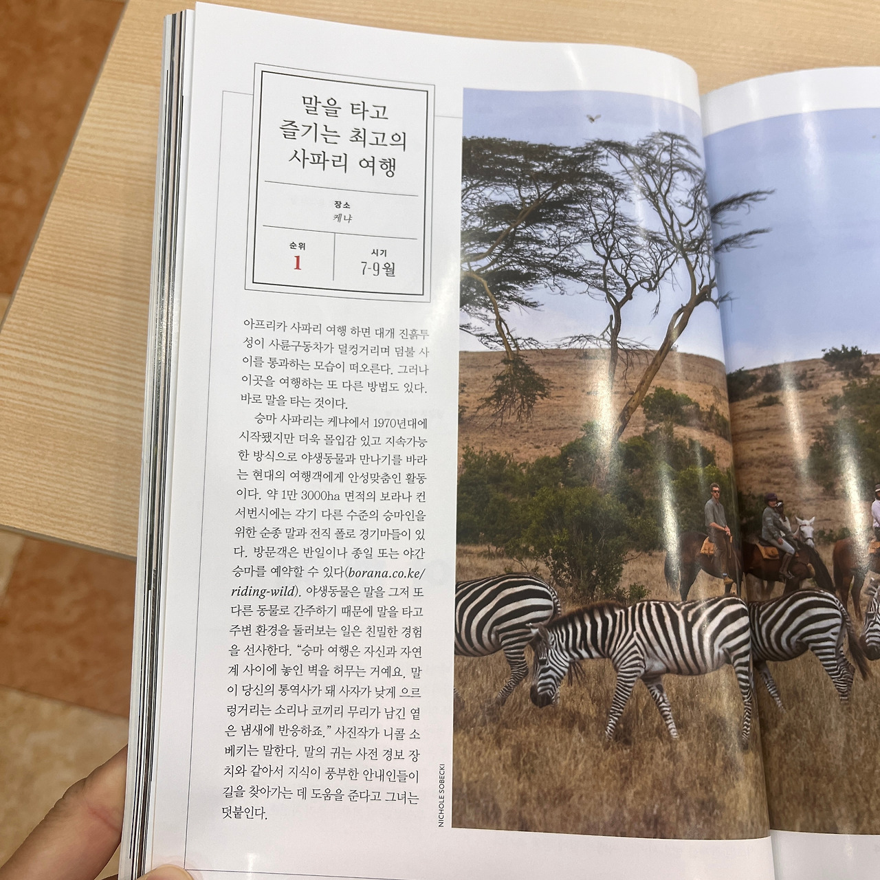 13화 프랑스 파리와 케냐여행 나이로비nairobi