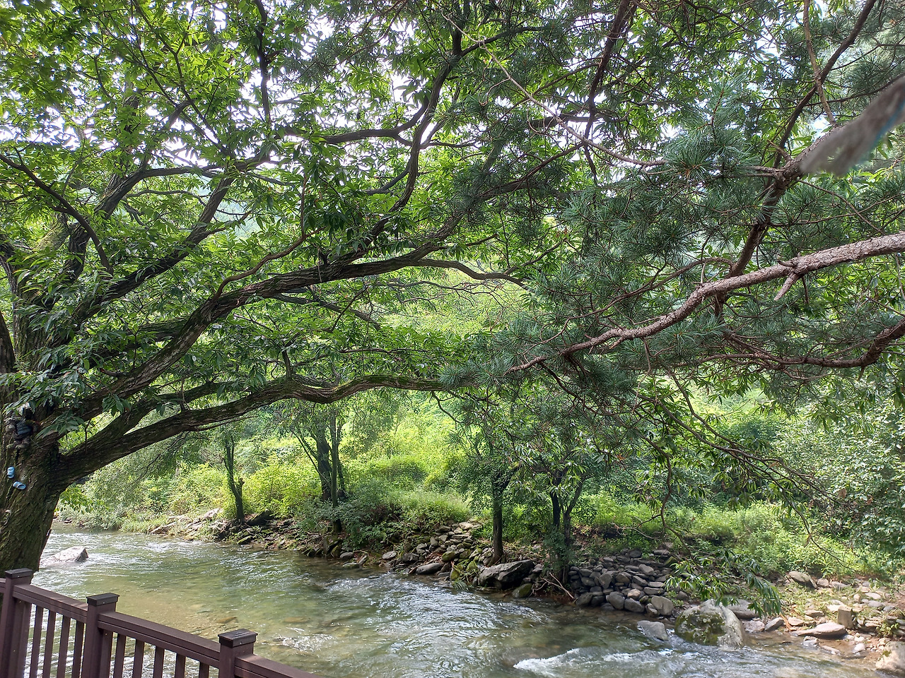 가평 화야산755m