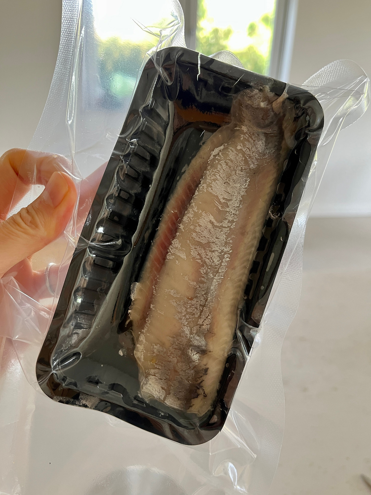 해산물 먹기 힘든 네덜란드