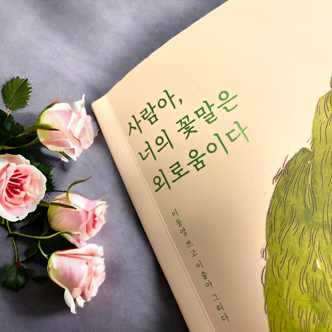 내면의 여정 자기 사랑으로 꽃피운 삶