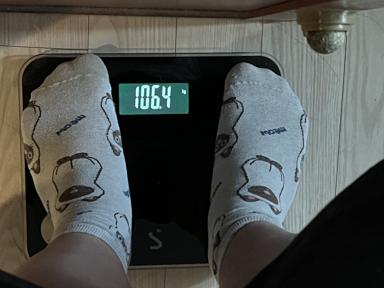 다이어트 한 달 경과