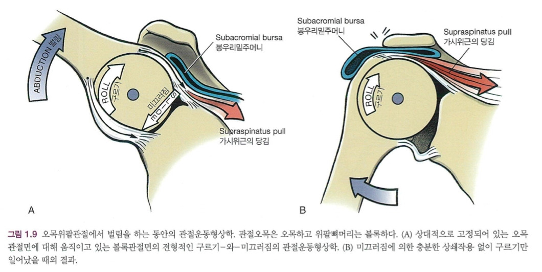 05화 관절운동형상학