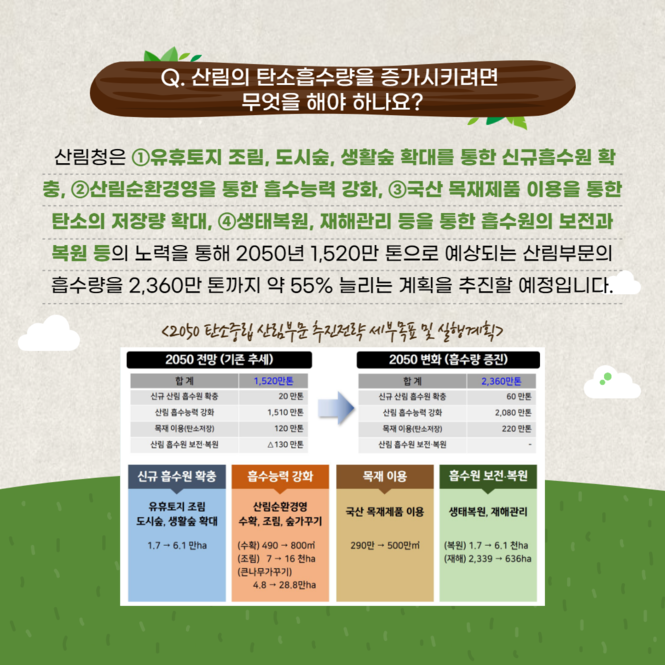 산림의 탄소흡수 궁금증 해결사