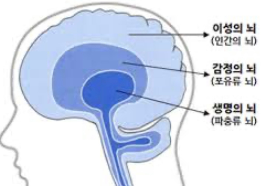 03화 사회적인 뇌 치료 3