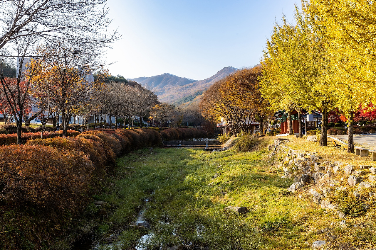 제천 배론성지 단풍 명소