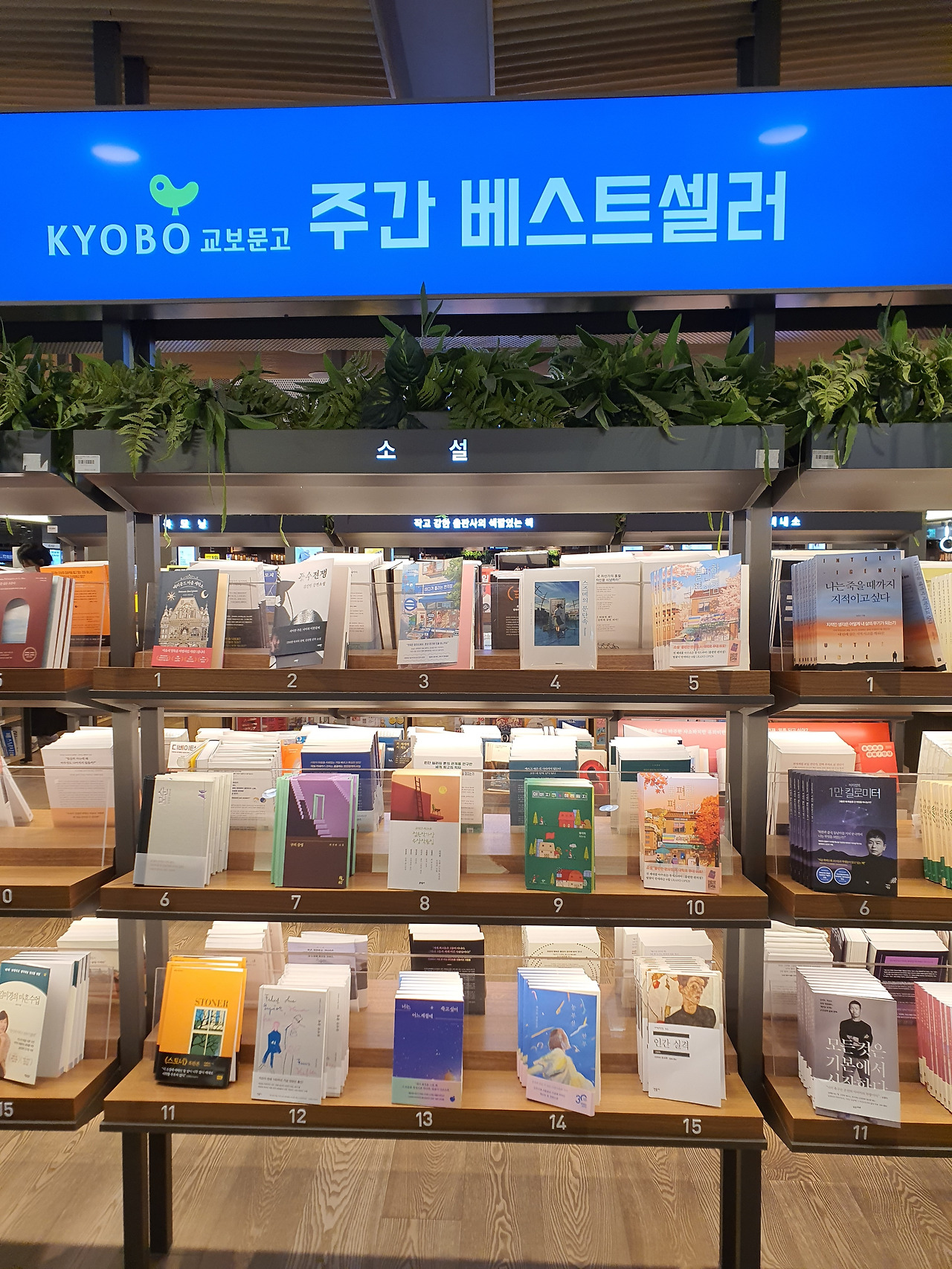 첫 소설 교보문고 베스트셀러 되기까지