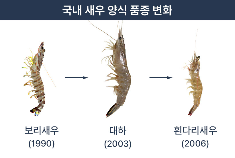 1 흰다리새우