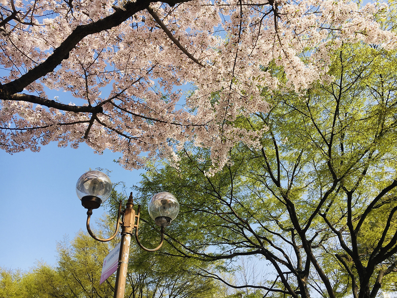 아름다운 것을 보면 눈물이 난다