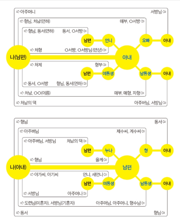 가족의 분류와 기능