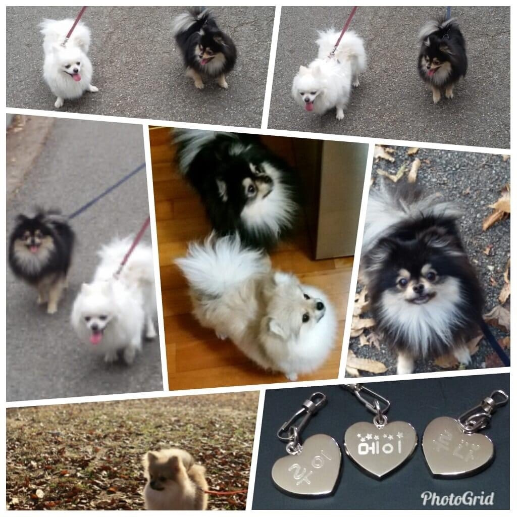 04화 행복한 산책
