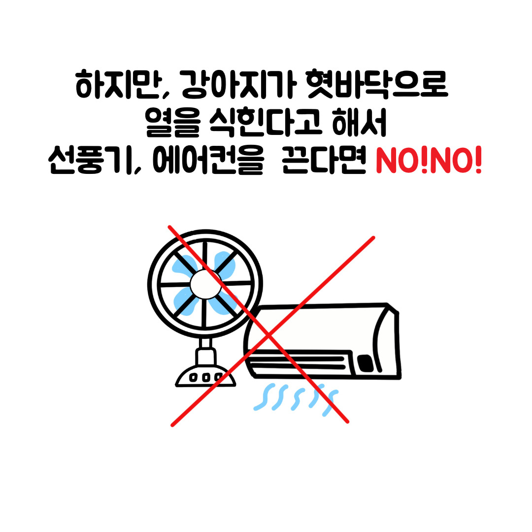 파우소나툰 강아지도 선풍기 바람이 시원할까요