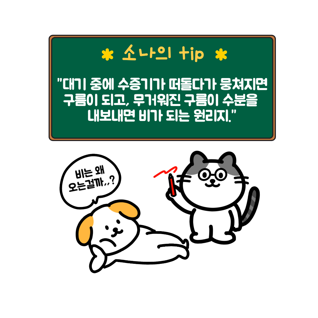 파우소나툰 비오는 날 강아지 산책 시켜도 될까요