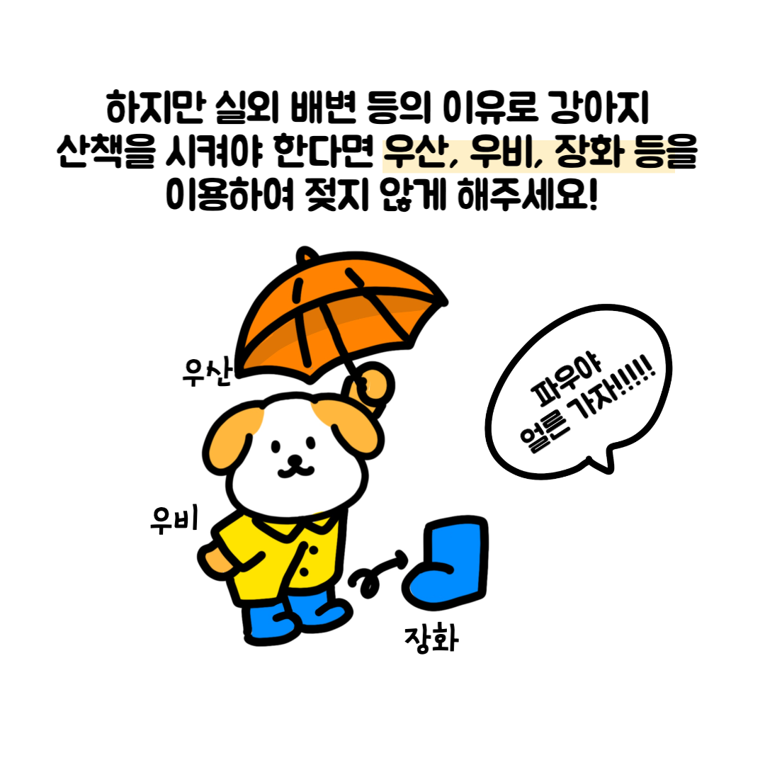 파우소나툰 비오는 날 강아지 산책 시켜도 될까요