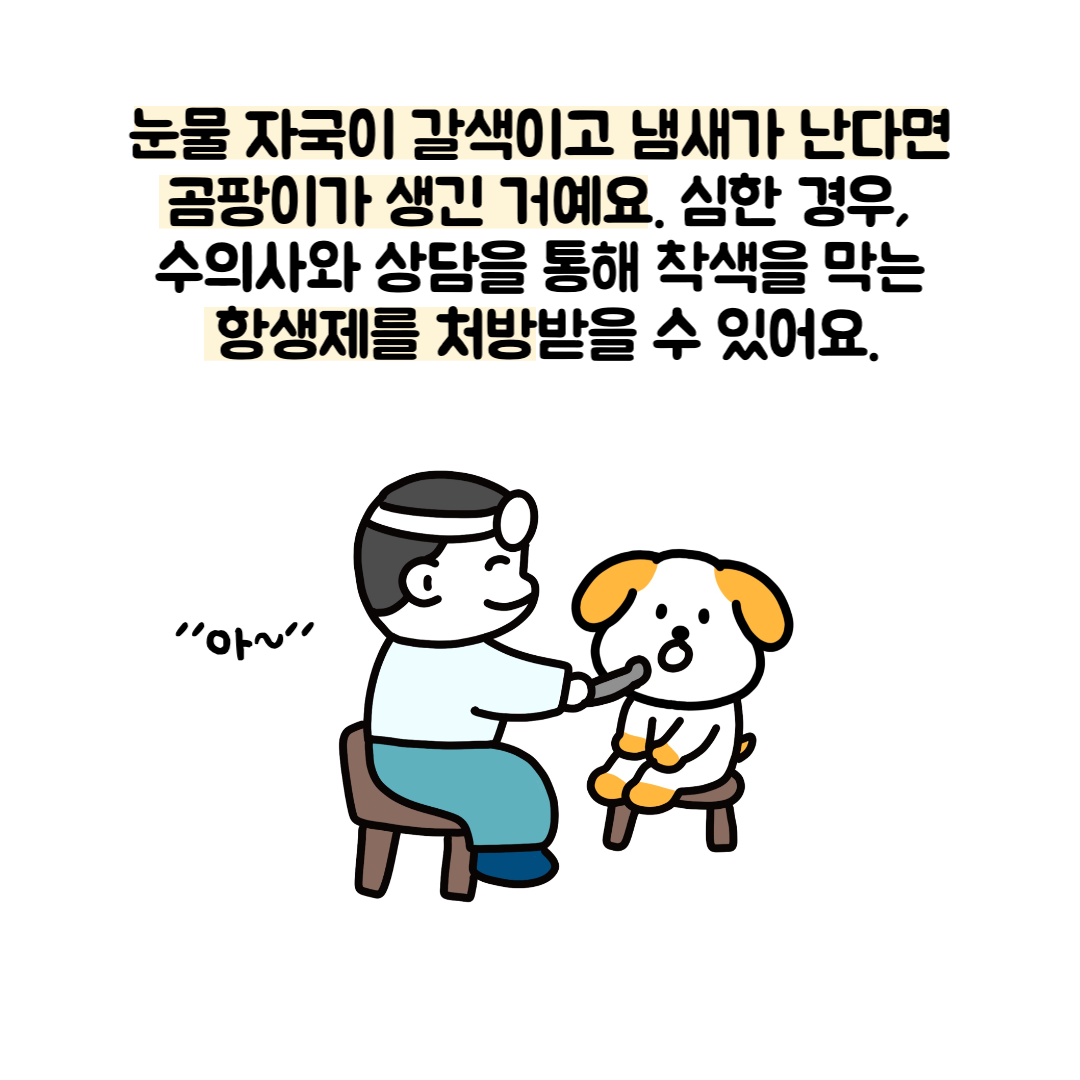 파우소나툰 강아지 눈물 자국 왜 생기는 거죠