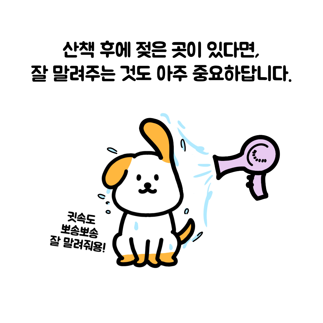 파우소나툰 비오는 날 강아지 산책 시켜도 될까요