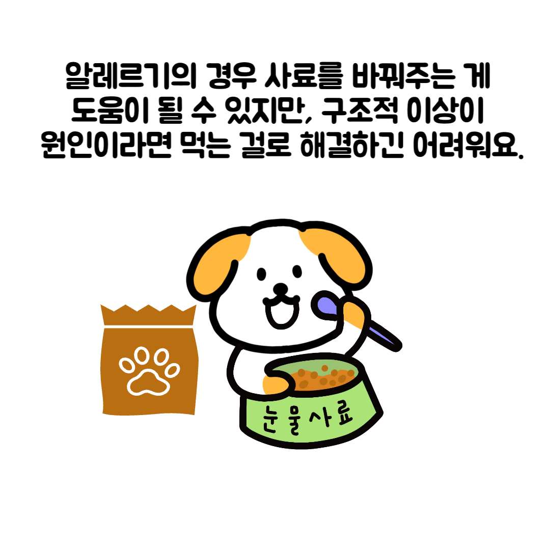 파우소나툰 강아지 눈물 자국 왜 생기는 거죠