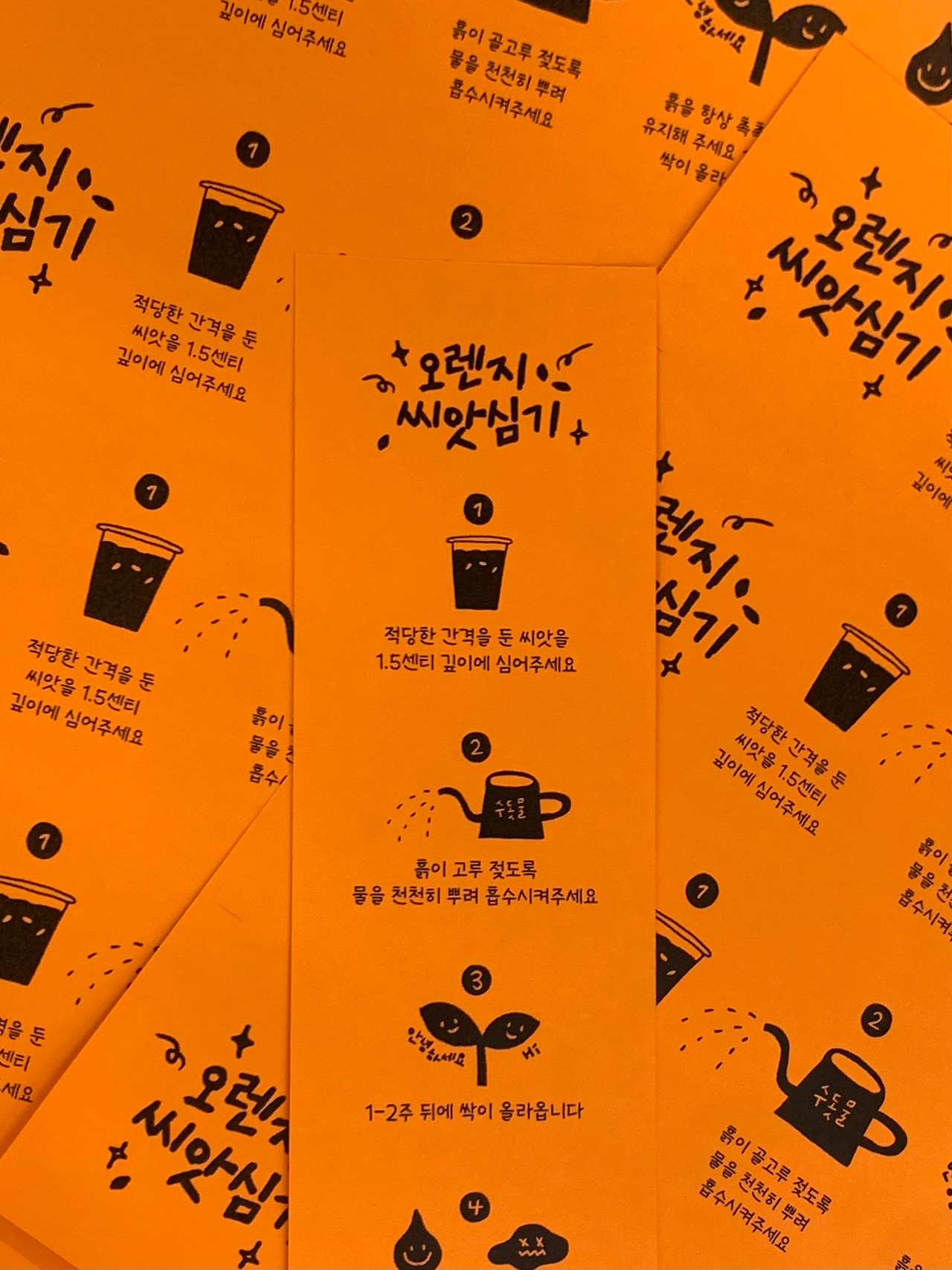 818오렌지 마을의 식목일