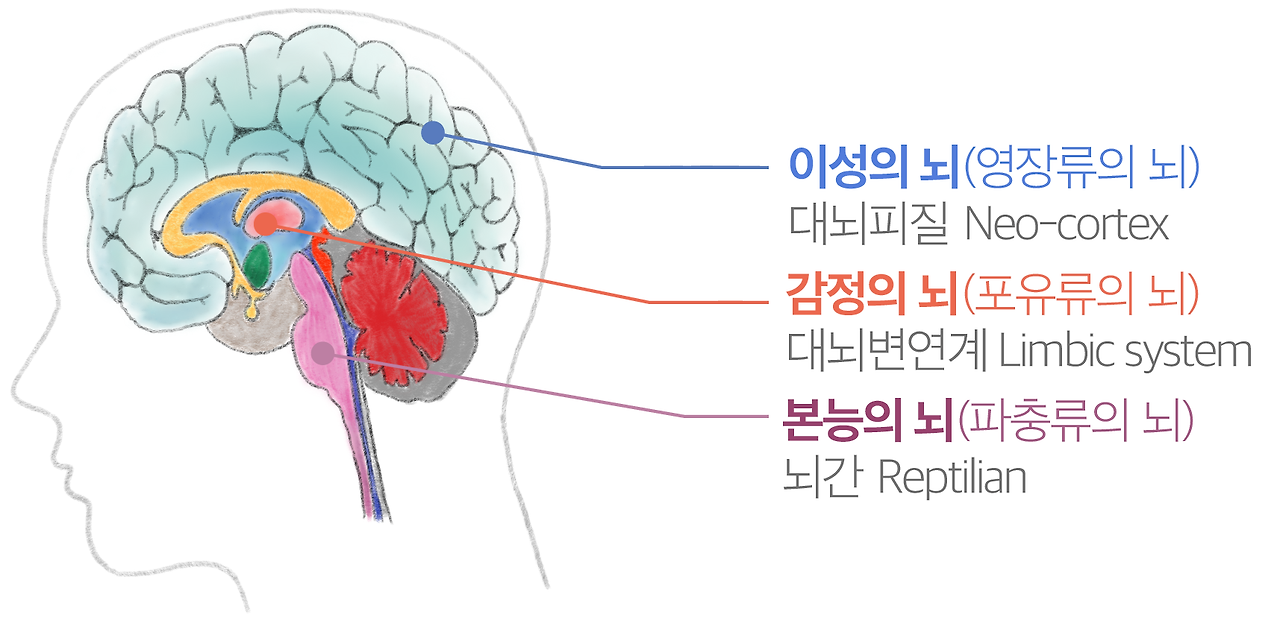 05화 브랜드텔링 Brandtelling