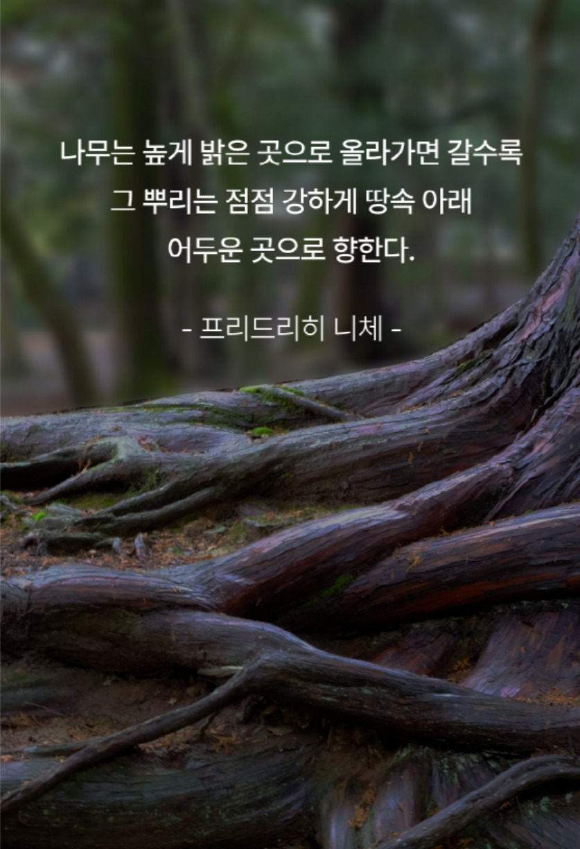 니체의 명언으로 여는 아침
