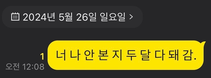 언어학자는 맞춤법을 잘 알까 규범문법과 기술문법
