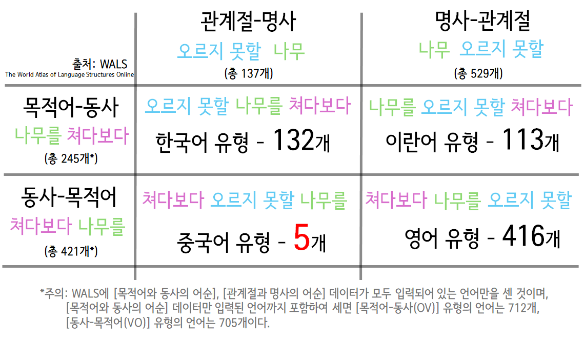언어유형론 중국어의 어순이 특이한 이유