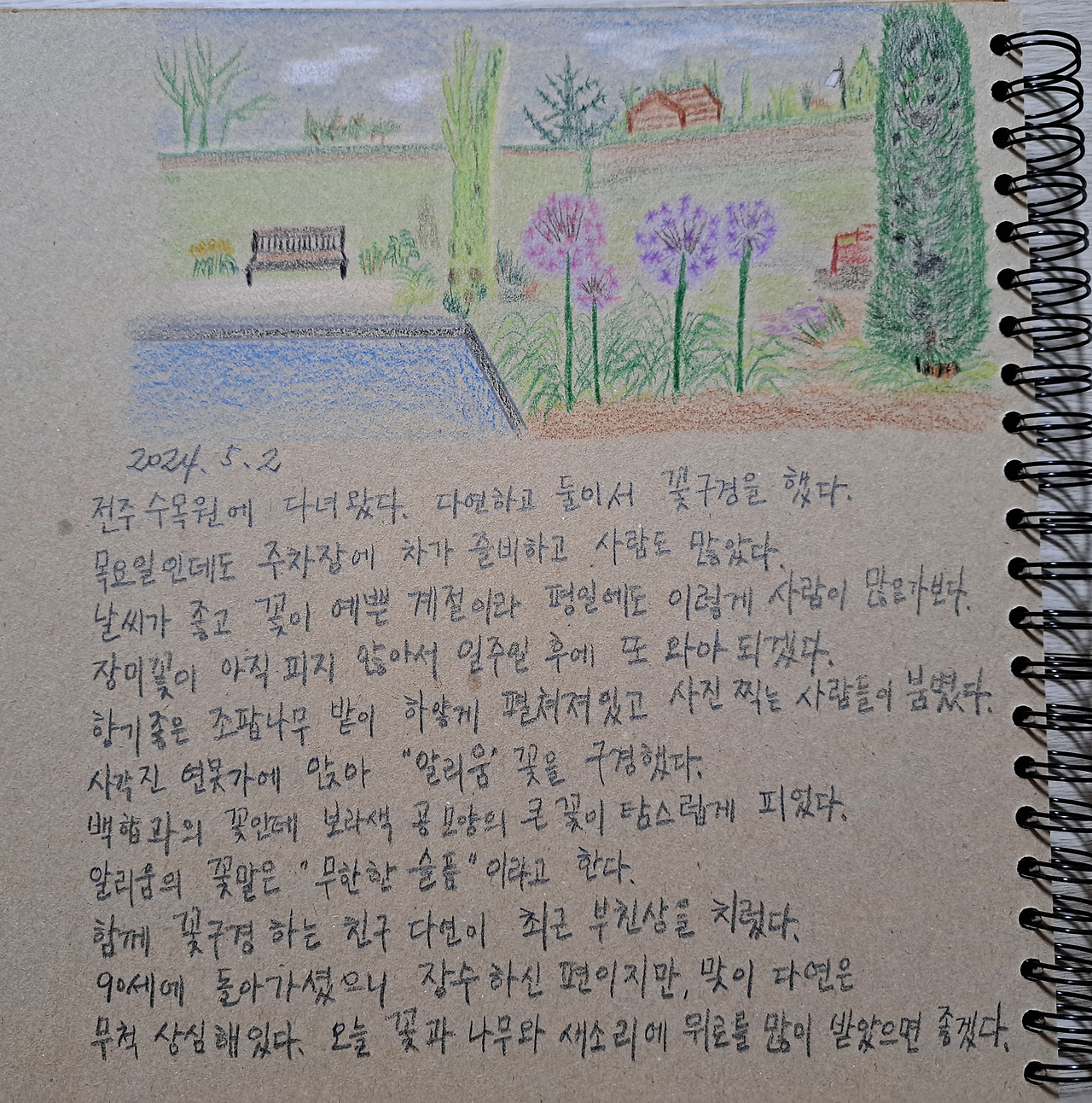 알리움 꽃을 보세요