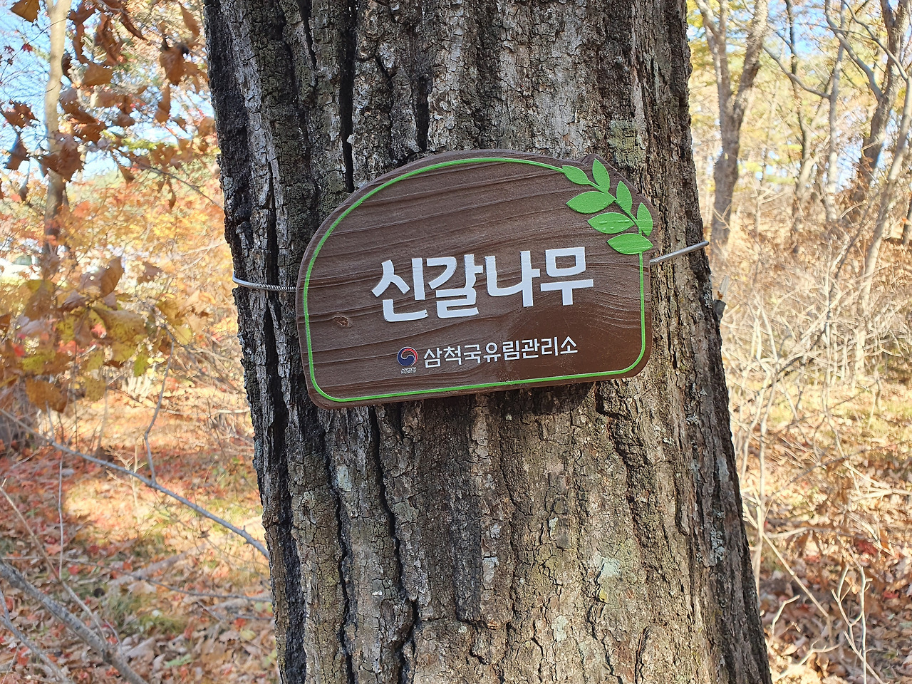 07화 나무현판 셀프설치 어렵지 않아요