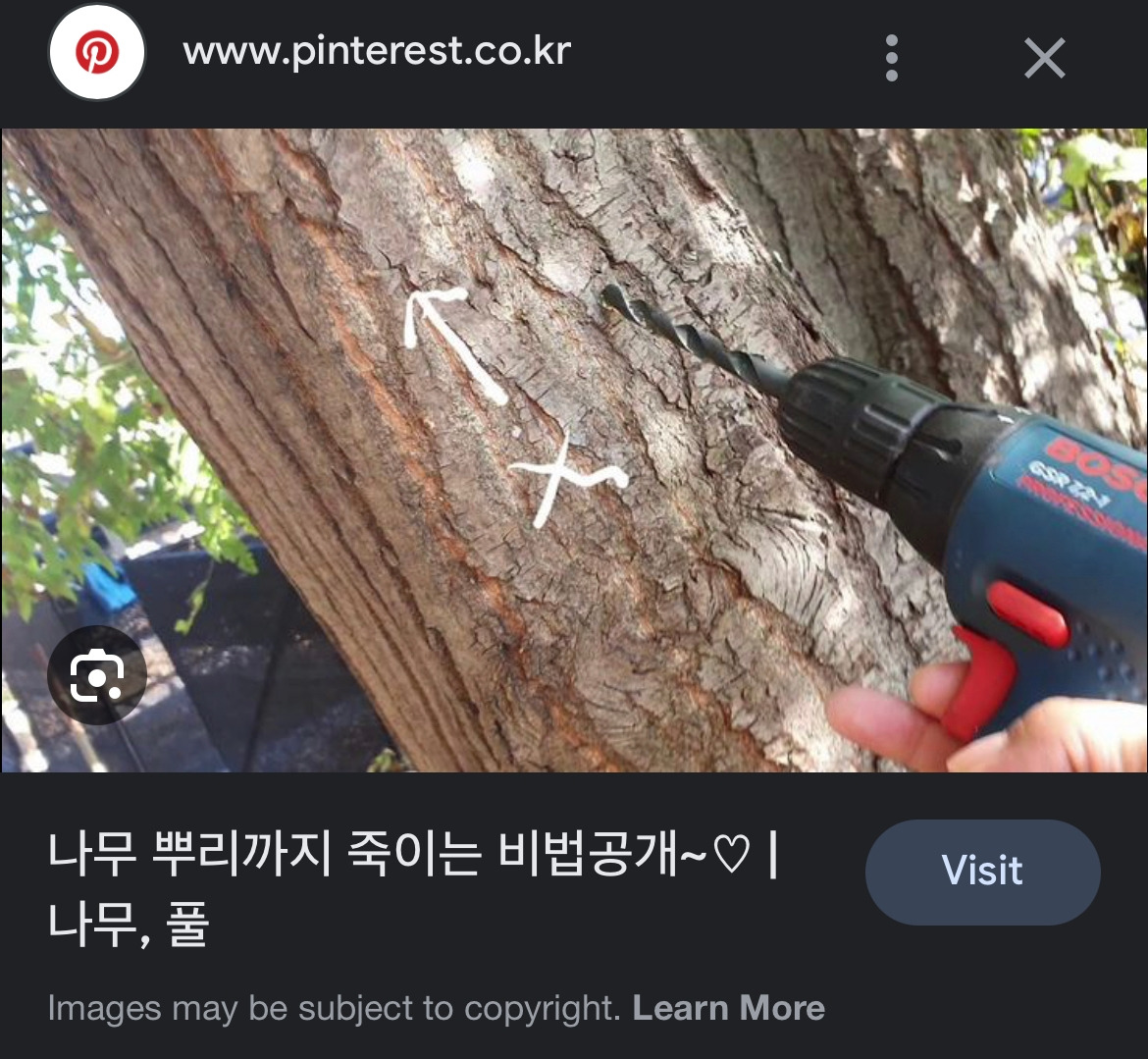 16화 썩은 나무 제거하는 방법