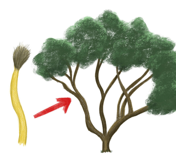 아보리스트arborist가 된다는 건5
