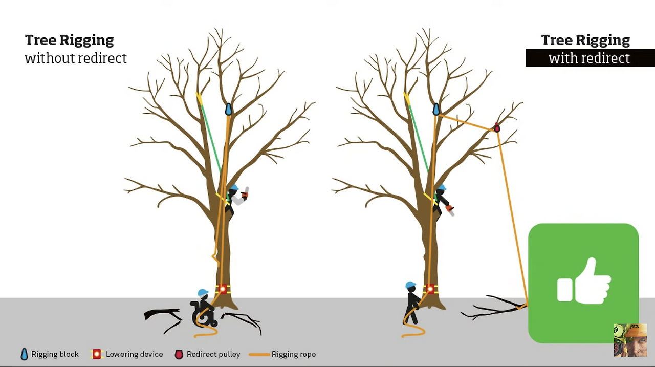 아보리스트(Arborist)가 된다는 건(8)