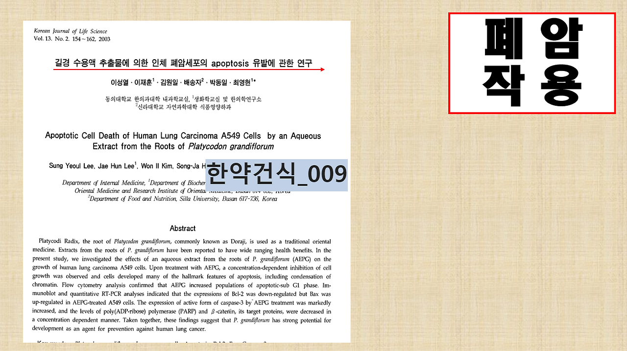 흡연 중 구강건강 폐건강에 도라지차 추천합니다