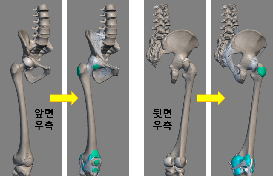 10 턴아웃과 인대