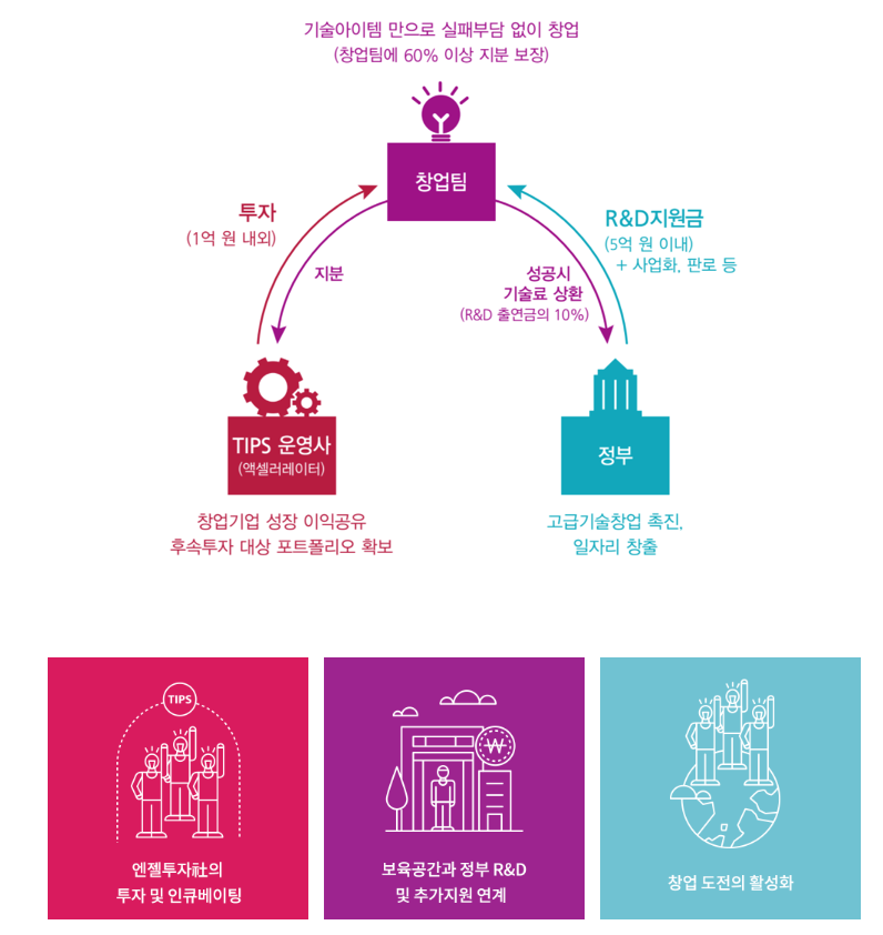 한국형 기술 창업 지원사업 팁스tips