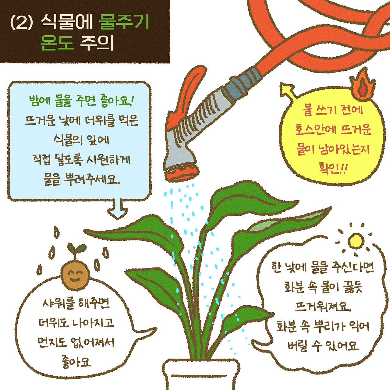 여름철 식물 관리법
