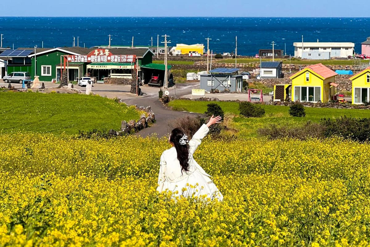 제주 우도에서 꼭 가봐야 할 명소