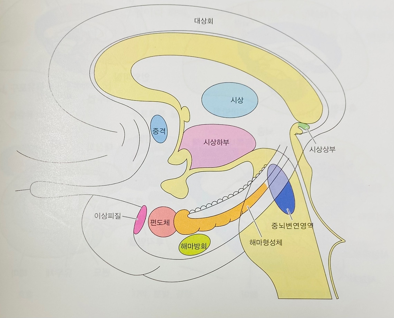 중독 뇌과학