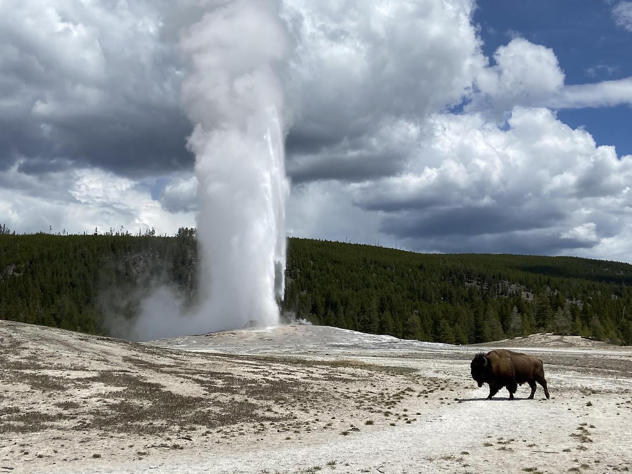 11화 2-3. 미국 땅, 영주권 없는 서러움