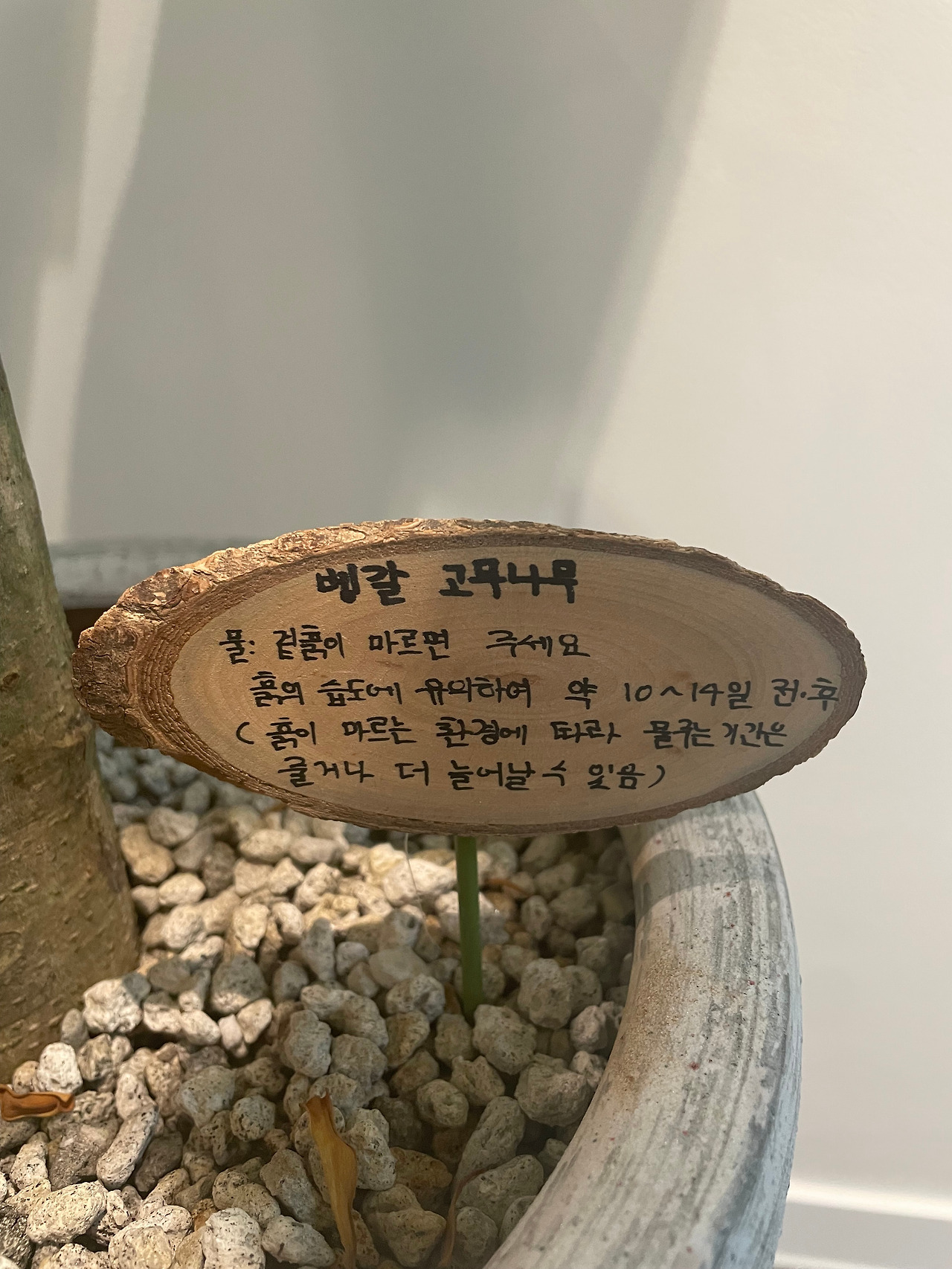 꽃집사장님으로부터 배운 센스