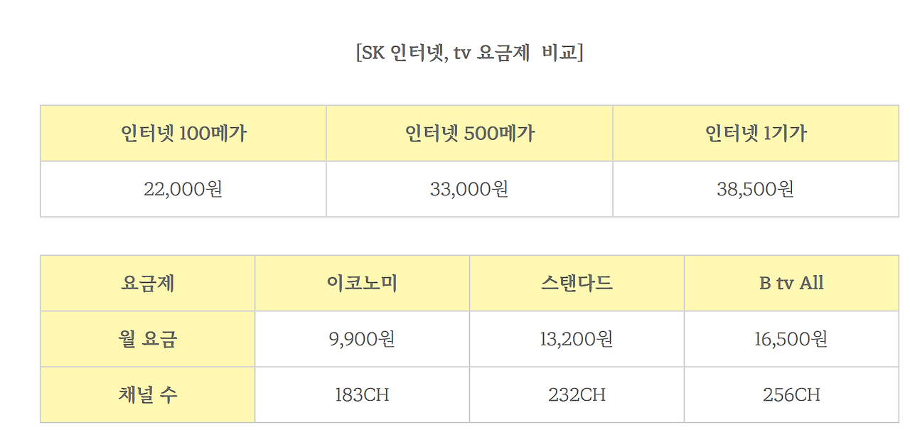 SK Btv 인터넷 요금제 총정리본(Feat.넷플릭스)
