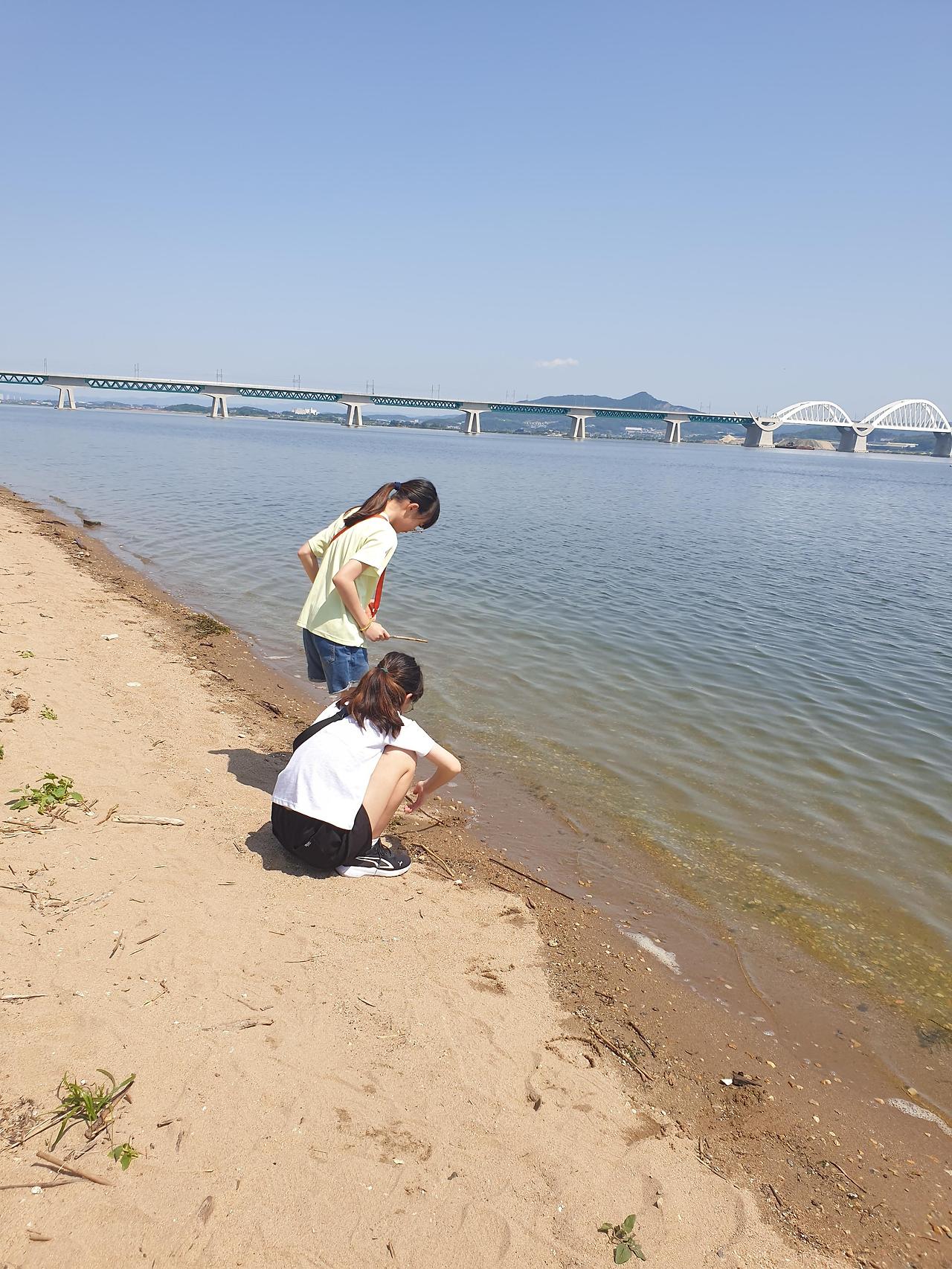 평택호 바람이 없다