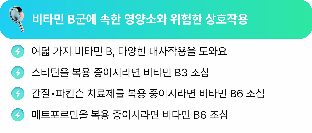 02화 수용성 비타민 B군 총정리 주의해야 할 상호작용