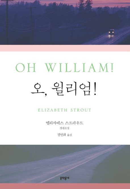 엘리자베스 스트라우트
