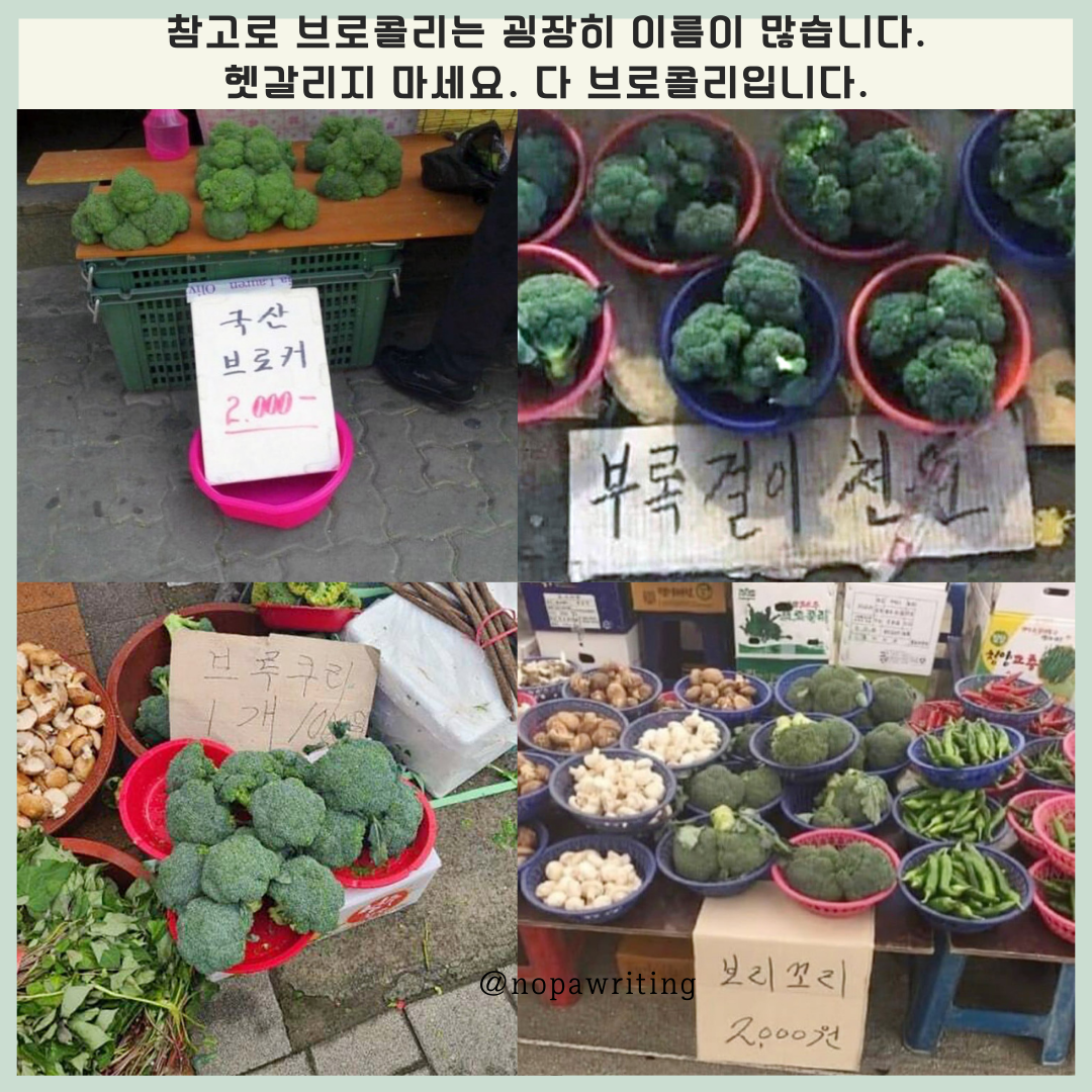 브로콜리 꽃 어떻게 생겼는지 궁금하지 않으세요