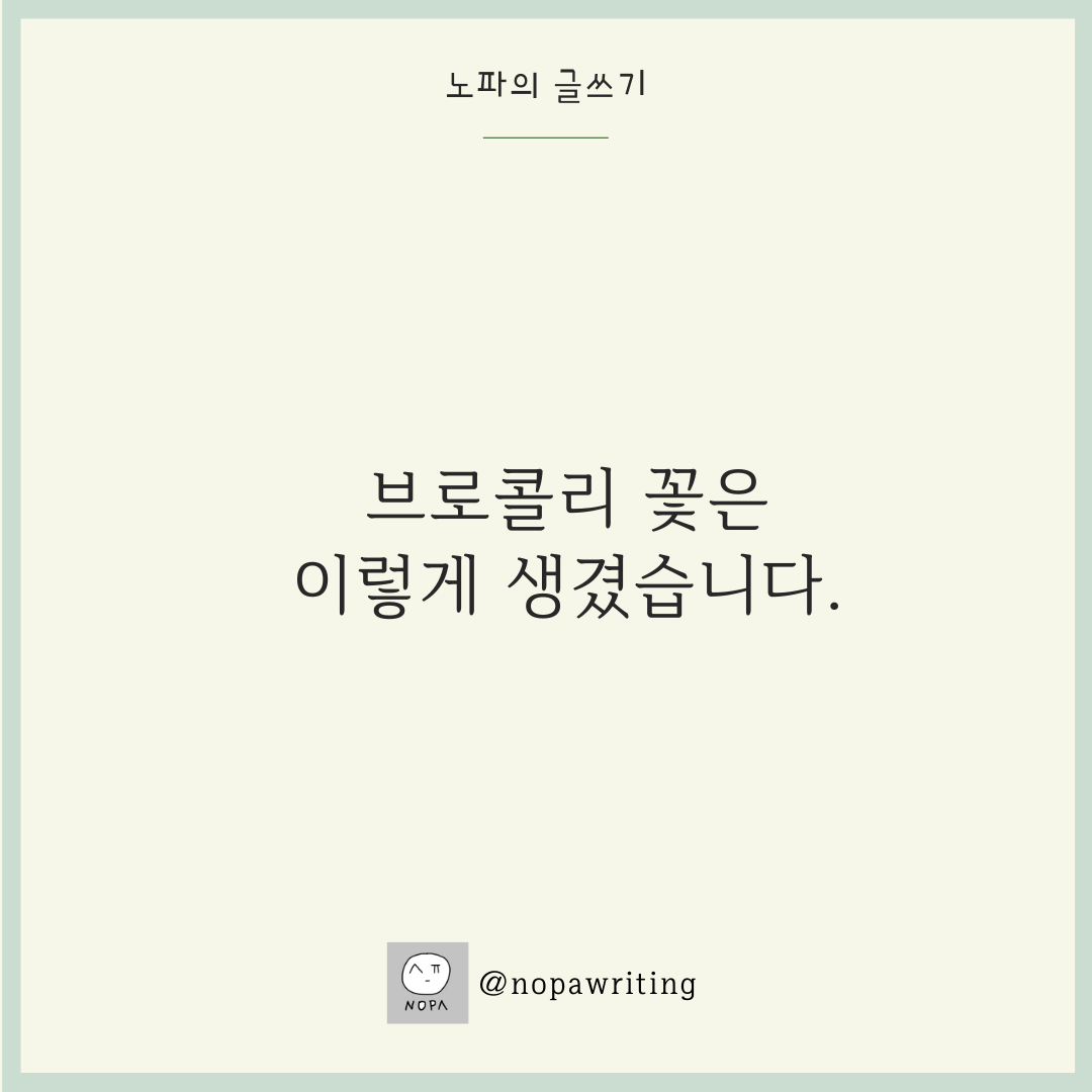 브로콜리 꽃 어떻게 생겼는지 궁금하지 않으세요