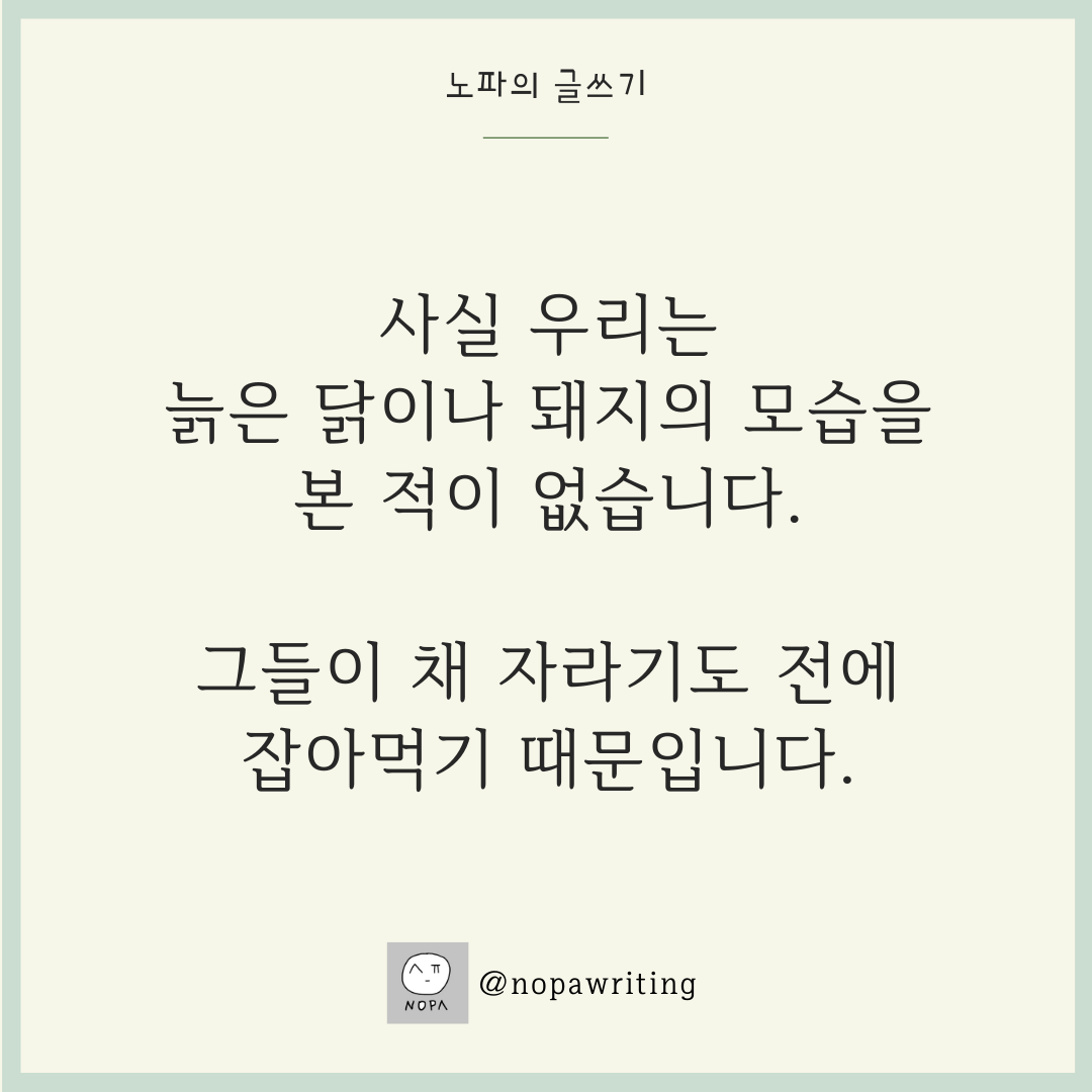 브로콜리 꽃 어떻게 생겼는지 궁금하지 않으세요